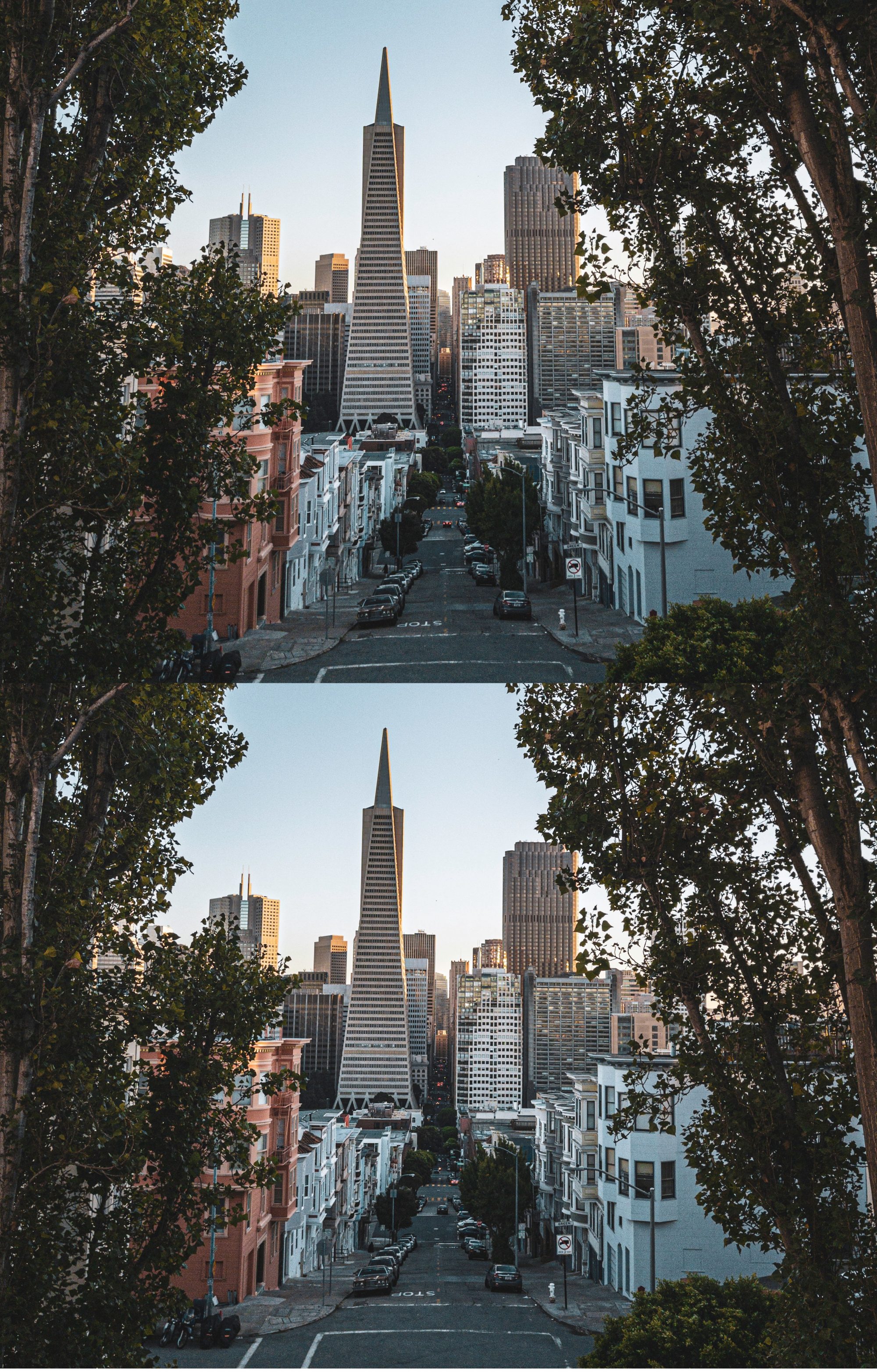 The iPhone 12 Pro Max: Real Pro Photography