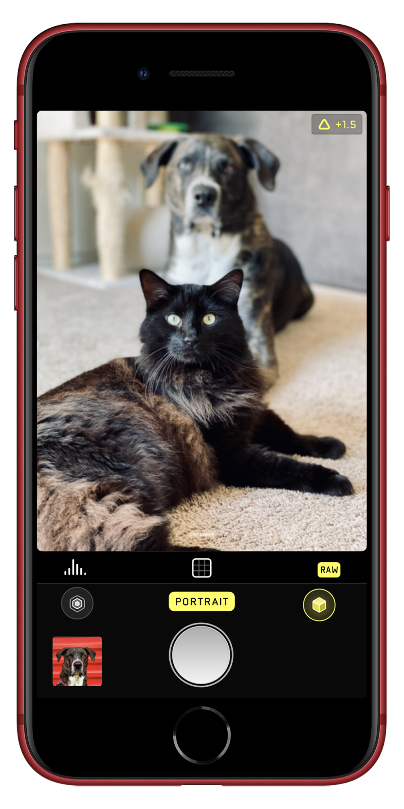 Pro. Camera. Action. Introducing Halide Mark II