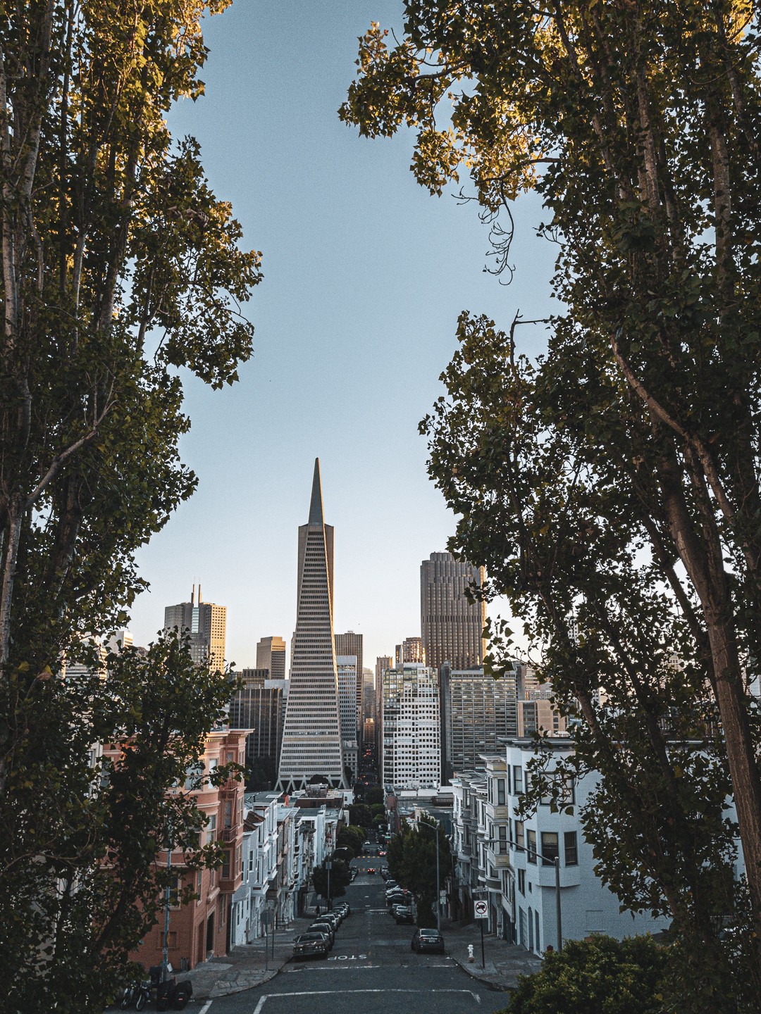 The iPhone 12 Pro Max: Real Pro Photography