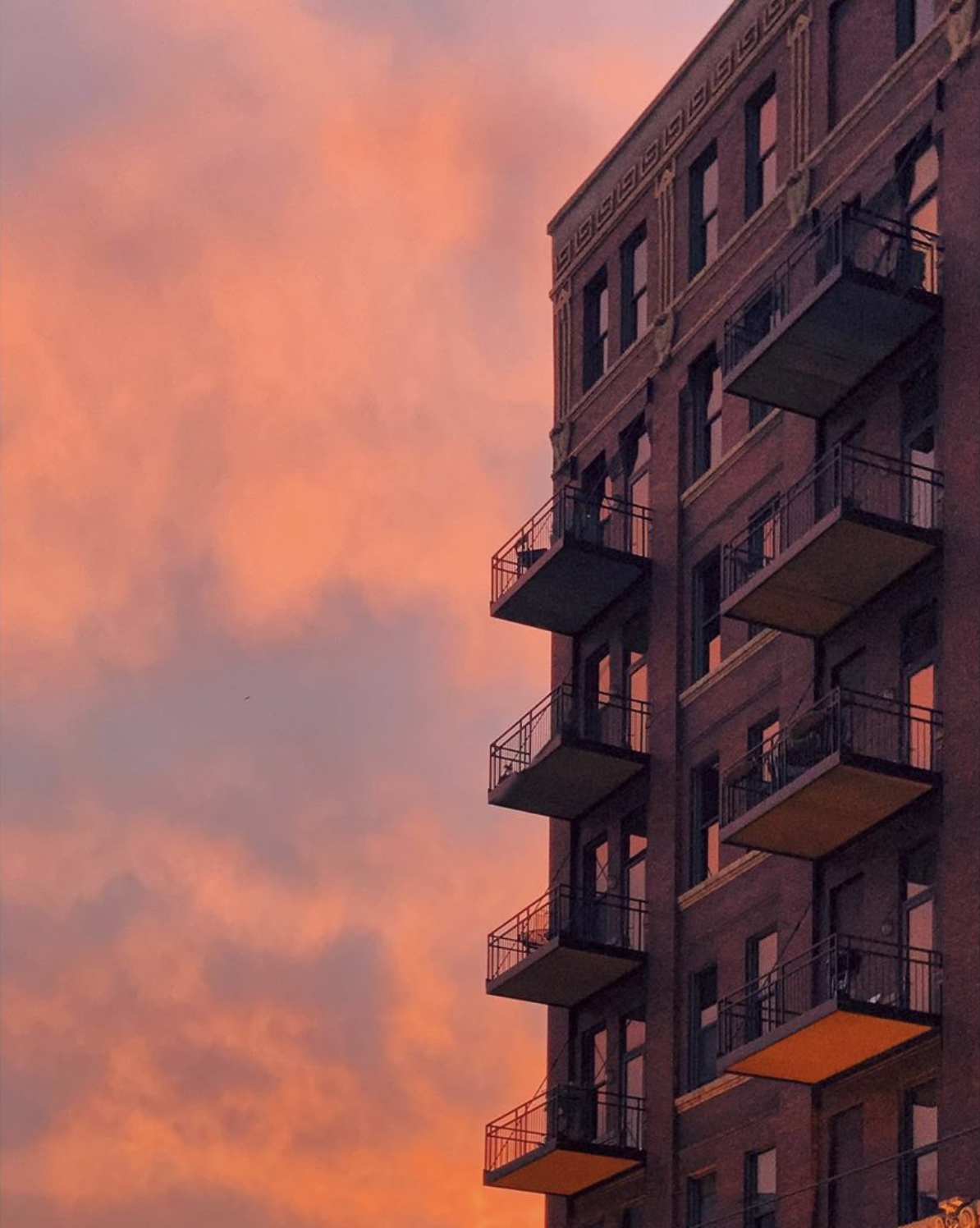 Halide: Our Contest Results