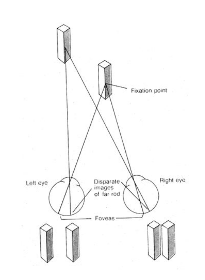iPhone XR: A Deep Dive Into Depth