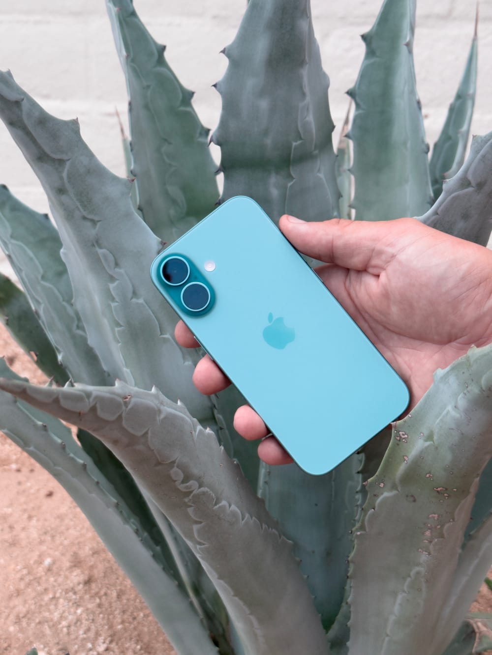The iPhone 16 Pro Camera Review: Control