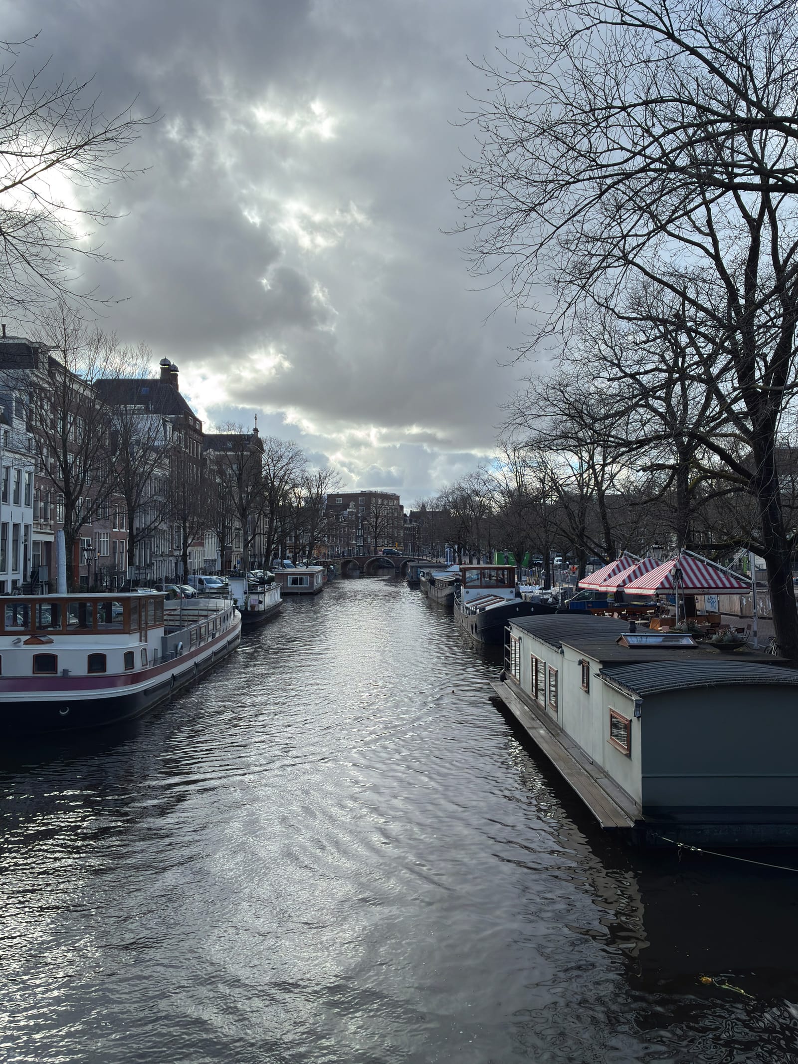 iPhone 16e camera review: The Essentials