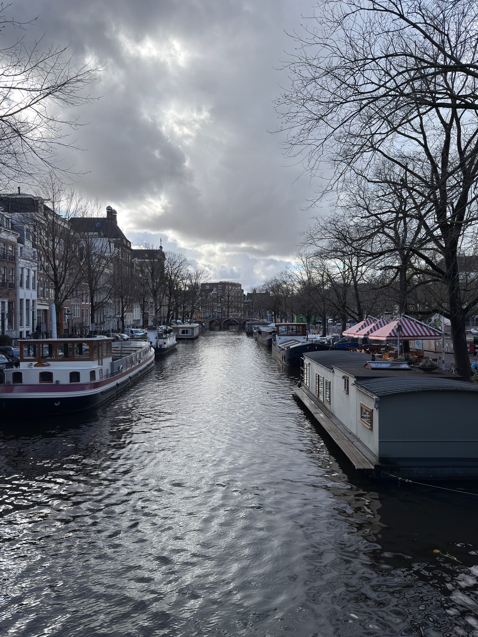 iPhone 16e camera review: The Essentials