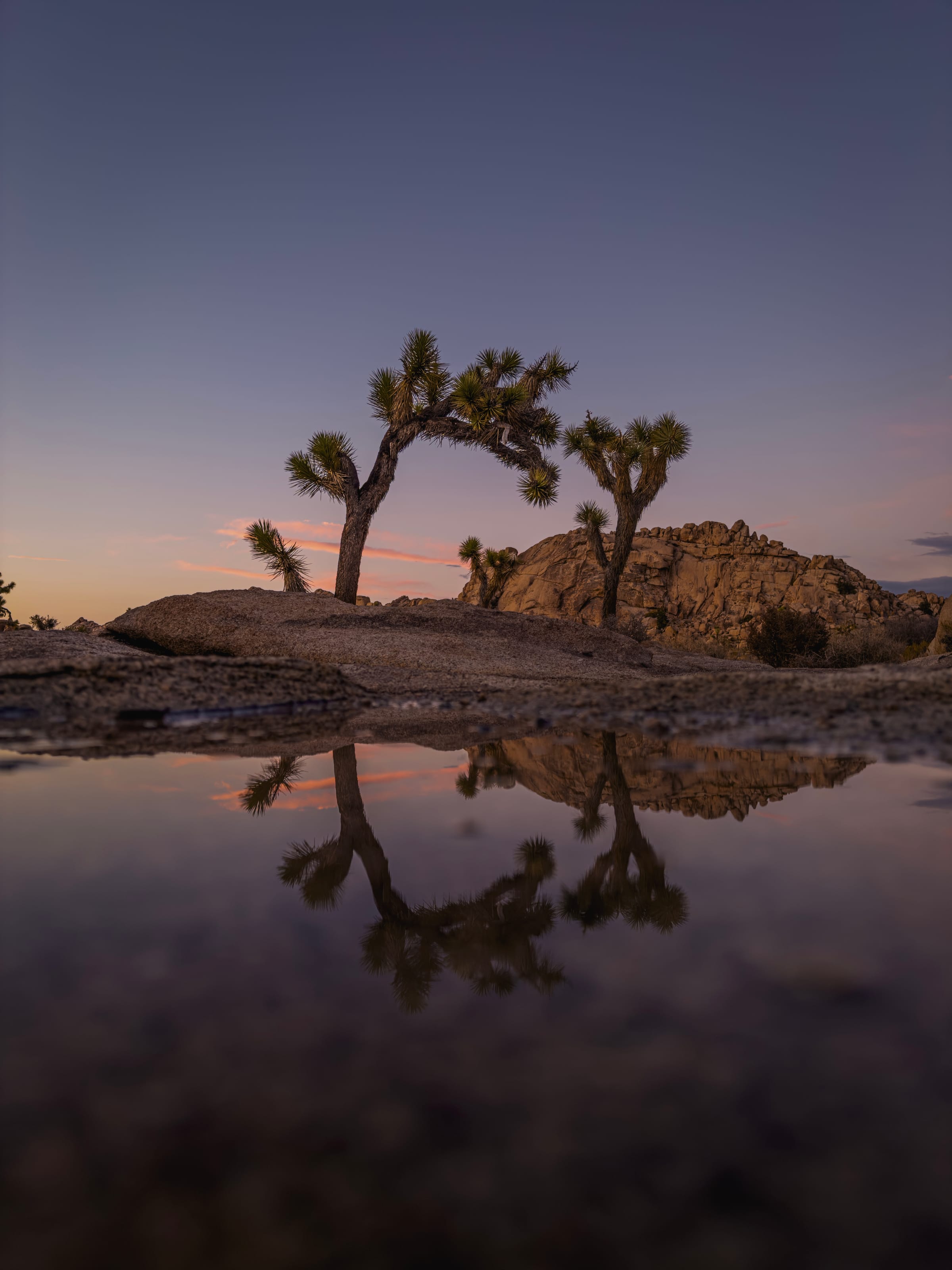 The iPhone 16 Pro Camera Review: Control