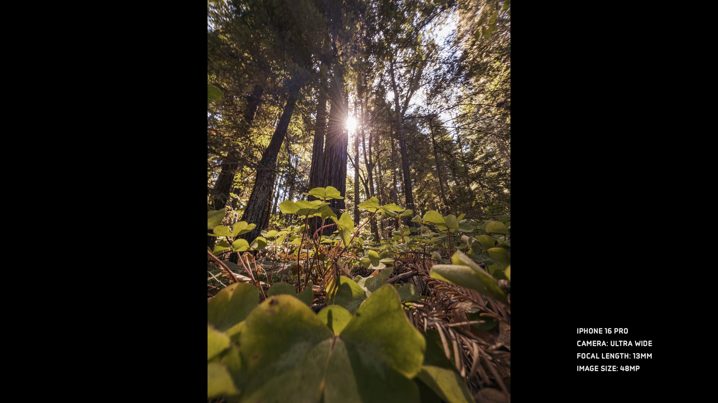 The iPhone 16 Pro Camera Review: Control