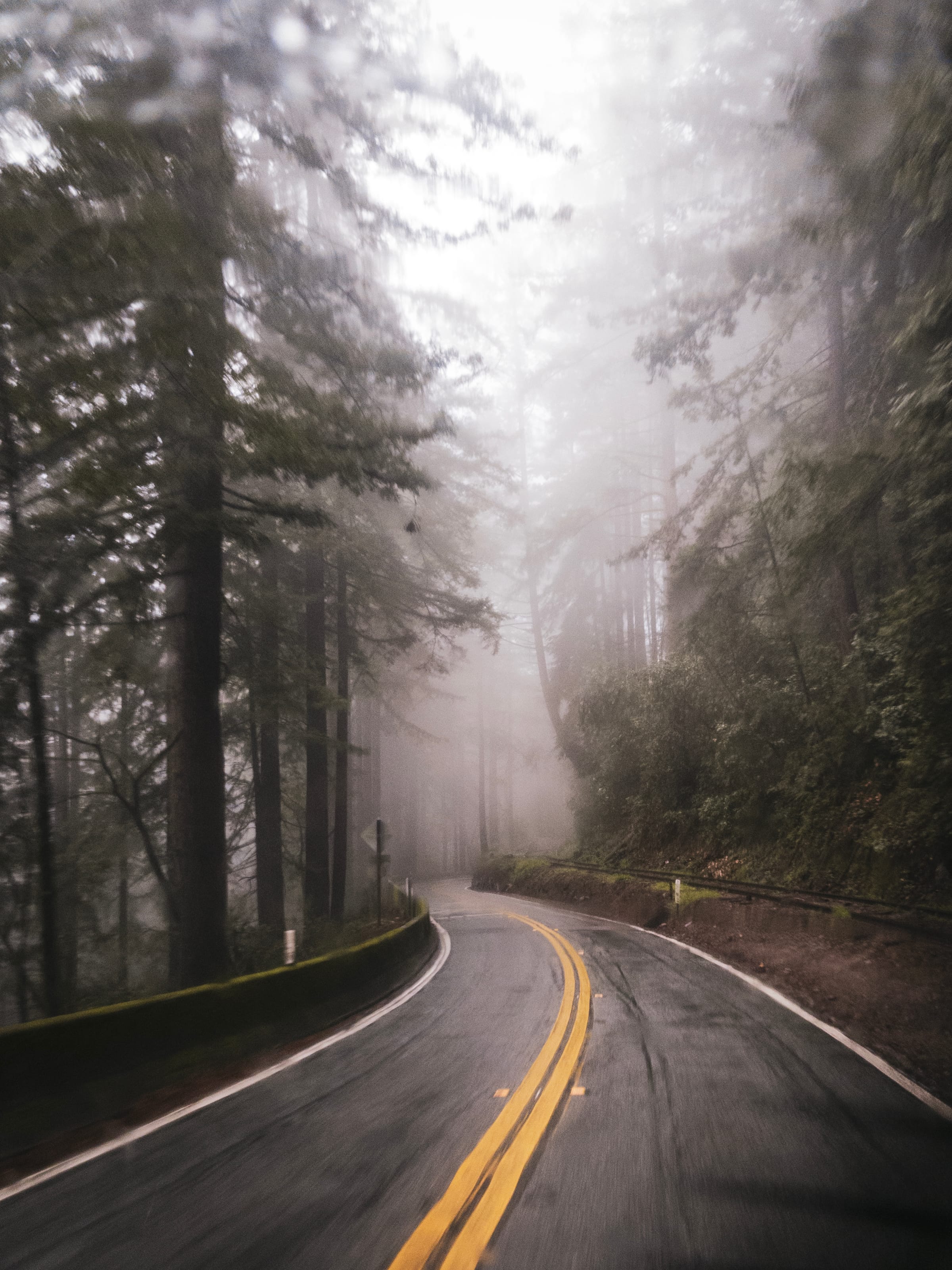 iPhone 16e camera review: The Essentials