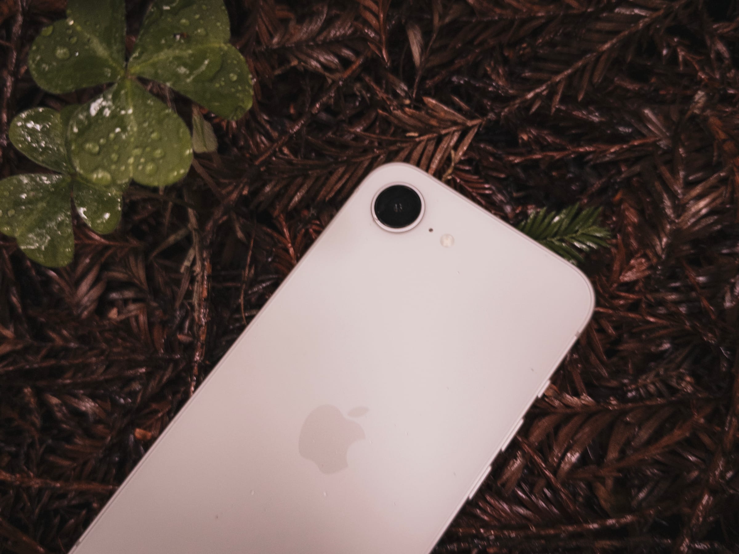 iPhone 16e camera review: The Essentials